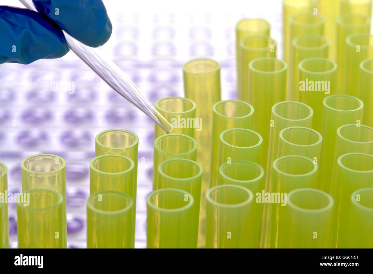 Scientist hand holding a laboratory glass pipette over yellow plastic ...