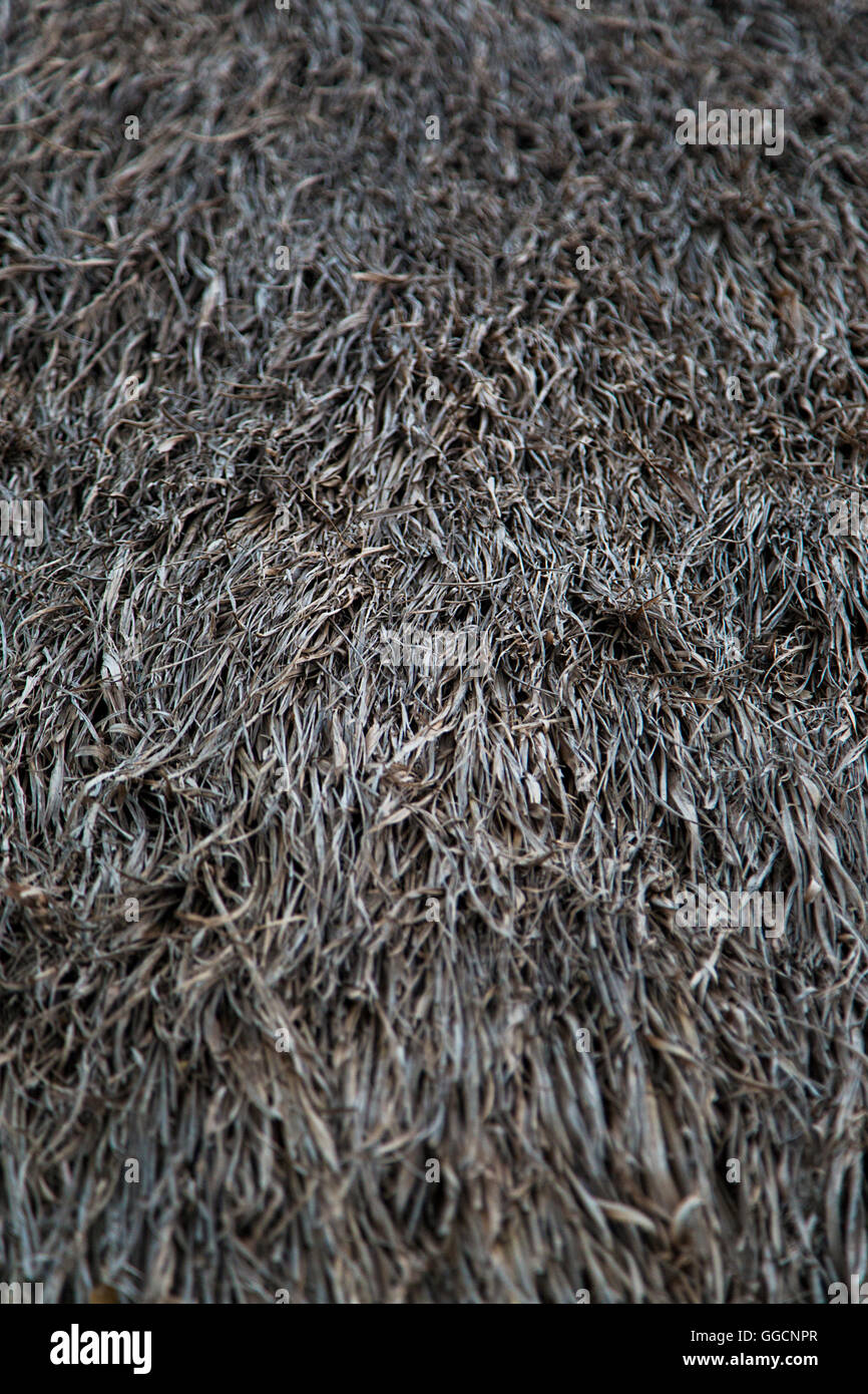 Straw roof hi-res stock photography and images - Alamy