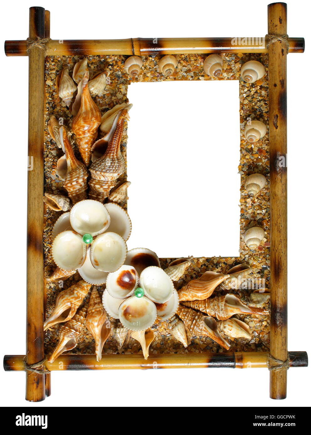 Conch shell carving hi-res stock photography and images - Alamy