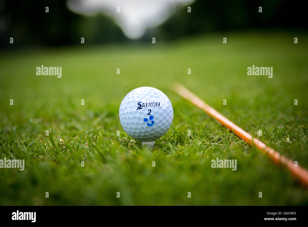 A Golf Ball resting upon a tee with alignment stick alongside Stock ...