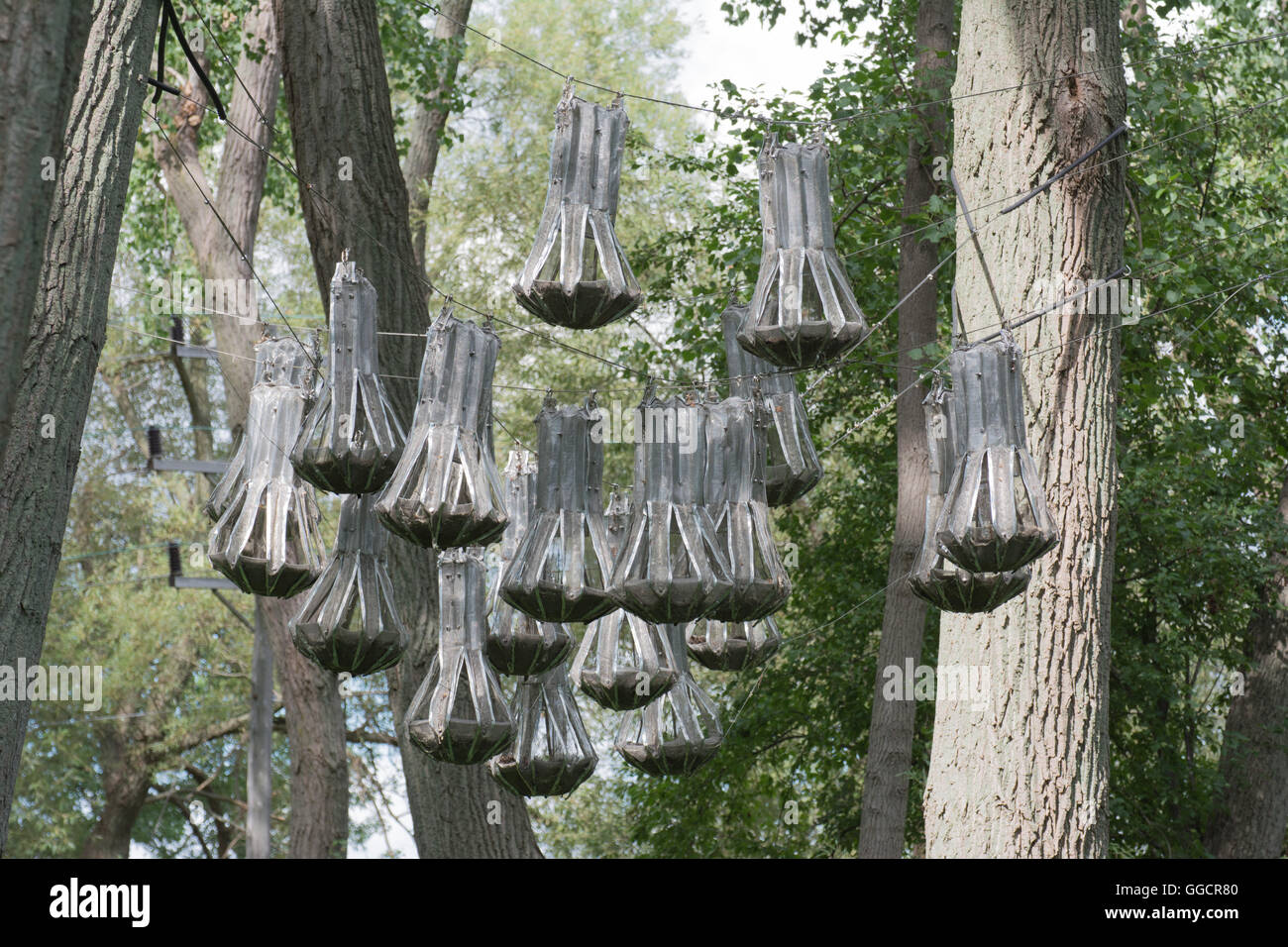 Bat Colony set up in the woods Stock Photo - Alamy