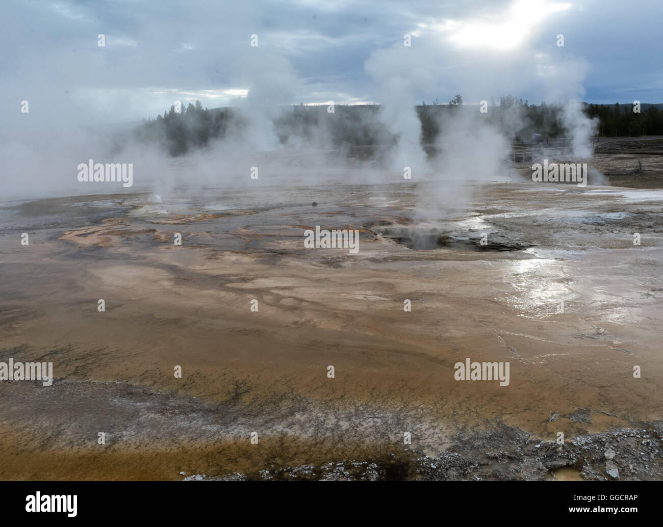 Steam rises from vents driven by the Yellowstone geothermal heat Stock ...