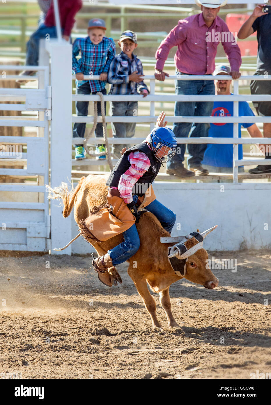 Young cowboy riding a small bull in the Junior Steer Riding competition ...