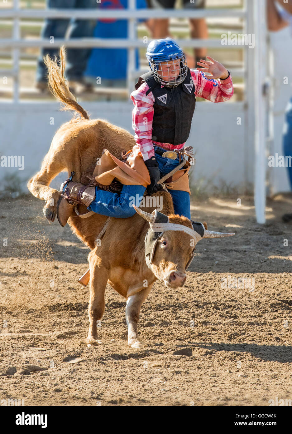Young cowboy riding a small bull in the Junior Steer Riding competition ...