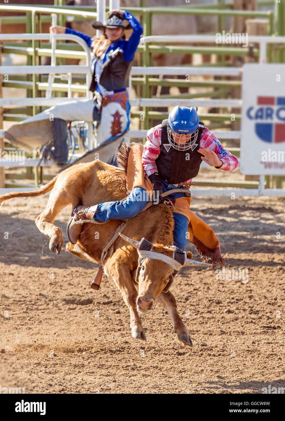 Young cowboy riding a small bull in the Junior Steer Riding competition ...