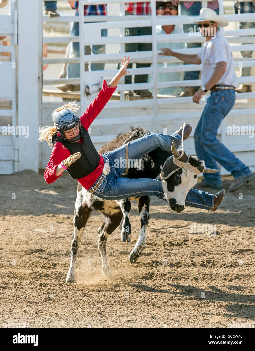 Young cowgirl riding a small bull in the Junior Steer Riding ...
