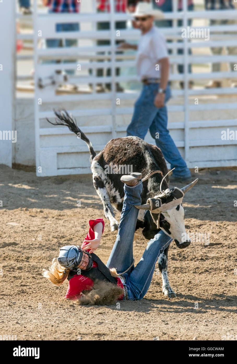 Young Cowgirl Horseback Riding In Stock Photos & Young Cowgirl ...