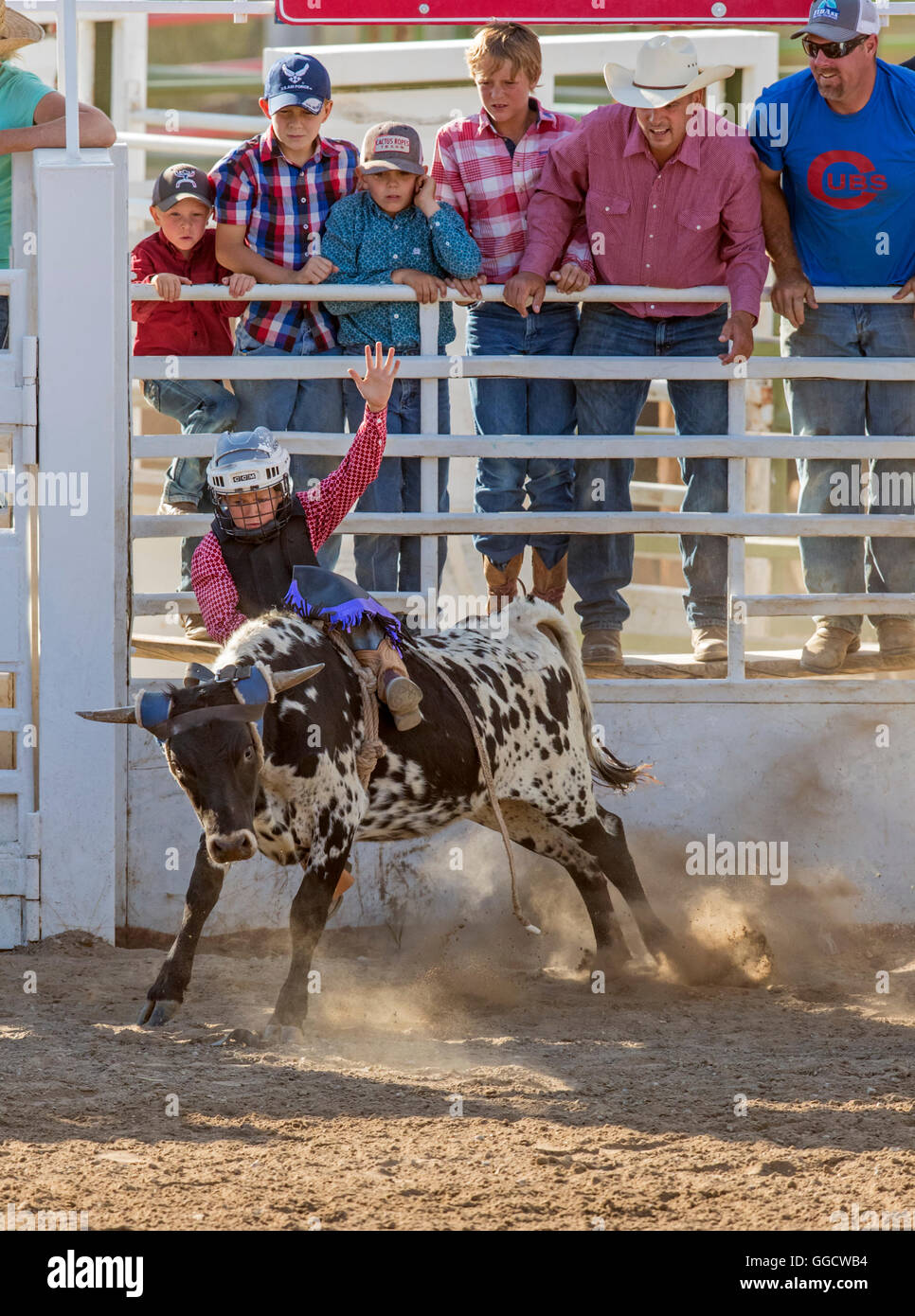 Young cowboy riding a small bull in the Junior Steer Riding competition ...