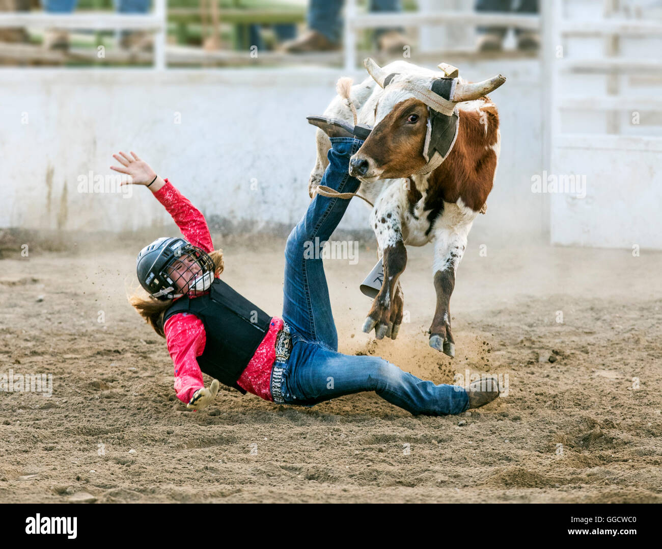 Young cowgirl riding a small bull in the Junior Steer Riding ...