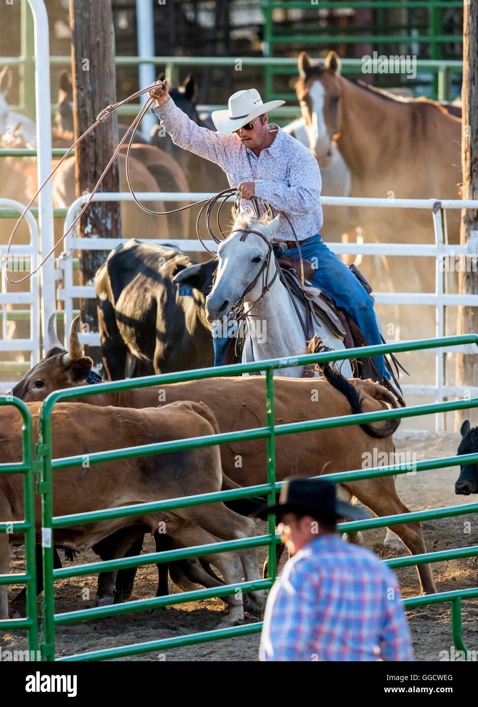 Lasso lariat roping rope cowboy throw hi-res stock photography and ...