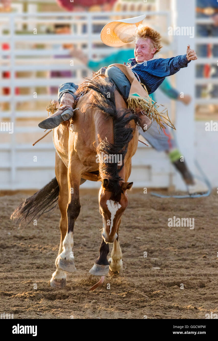 Saddle bronc riding hi-res stock photography and images - Alamy