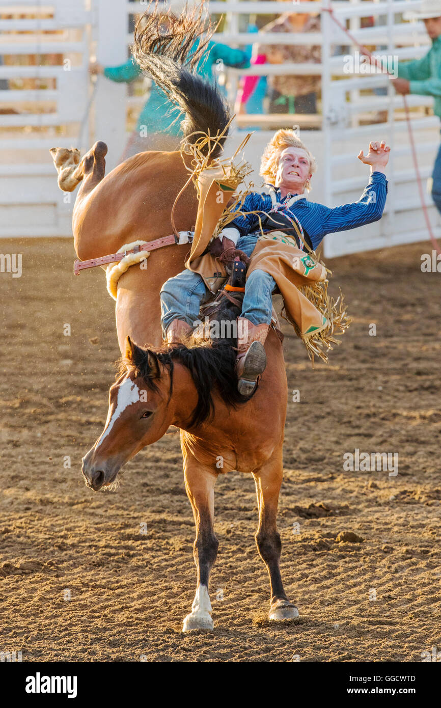 Saddle bronc riding hi-res stock photography and images - Alamy