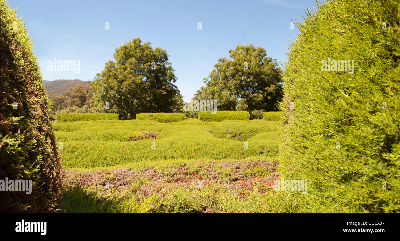 Wandiligong Maze, Victoria, Australia Stock Photo - Alamy