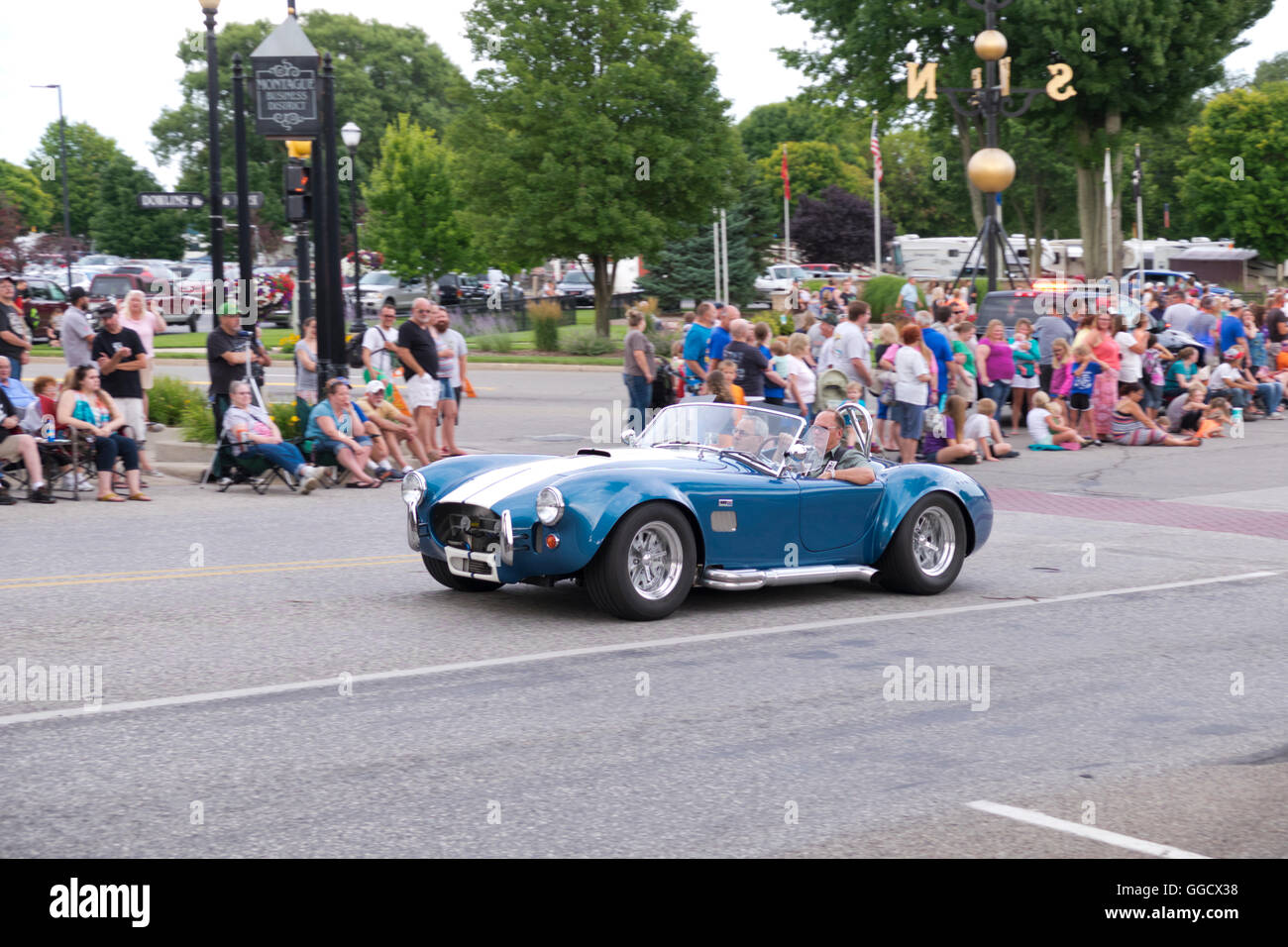Shelby Cobra participates in the 2016 Annual Cruz In parade in downtown ...