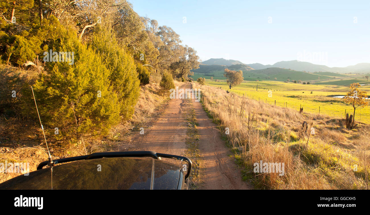 Burrowa pine mountain national park hi-res stock photography and images ...