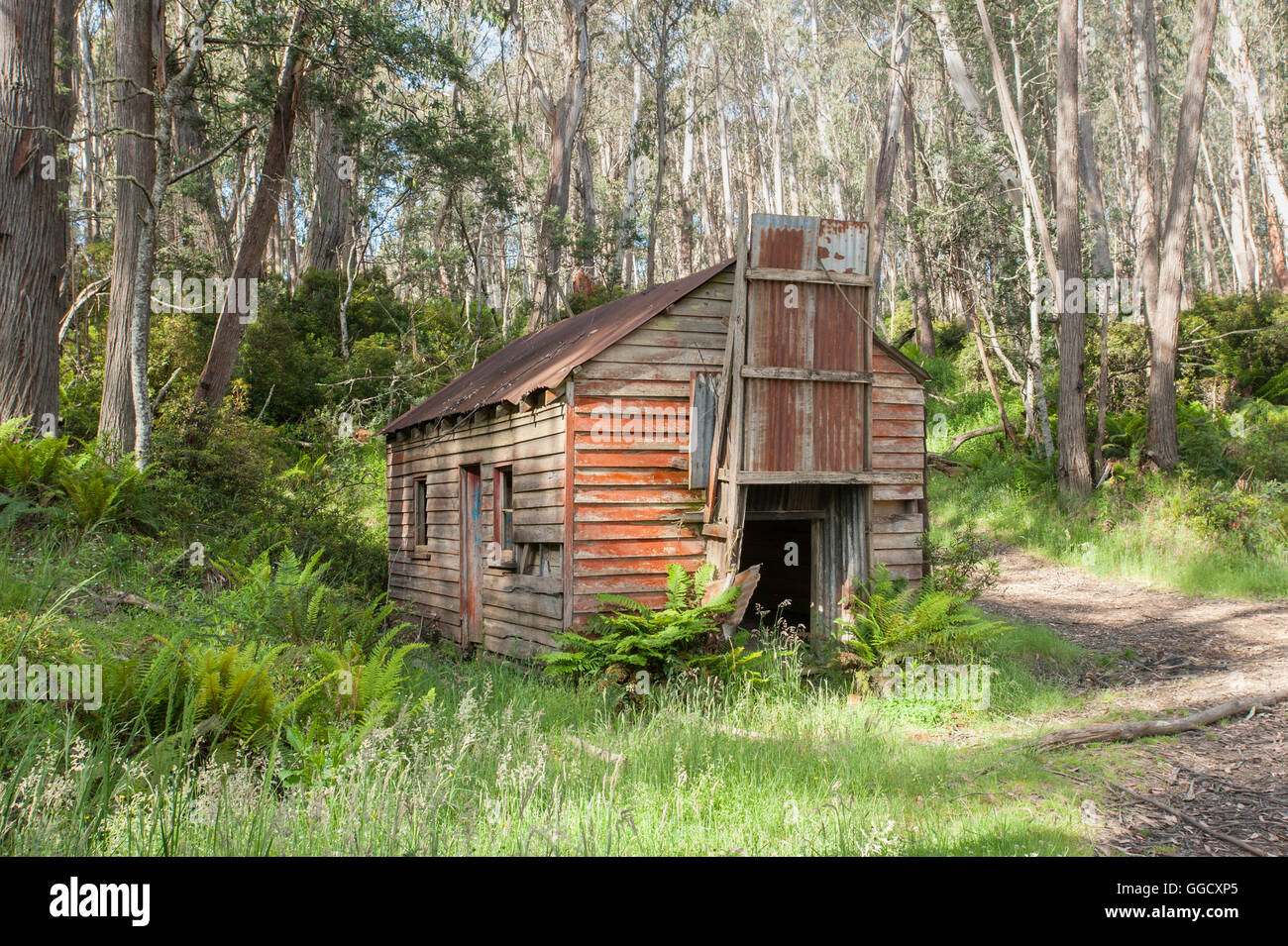 Cassilis Historic Area ruin, Victorian High Country, Victoria ...