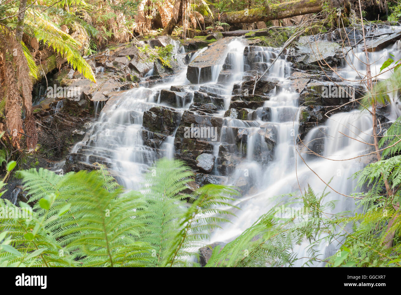 Cora Lynn Falls, Yarra Valley, Victoria, Australia Stock Photo - Alamy