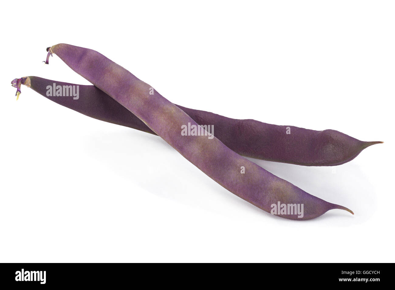 Purple bean vegetable isolated on white background Stock Photo - Alamy