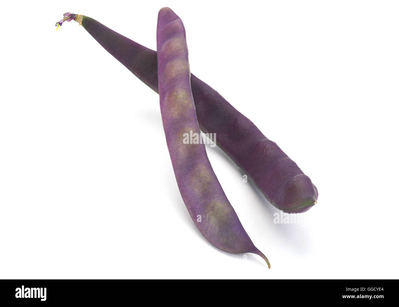 Purple bean vegetable isolated on white background Stock Photo - Alamy