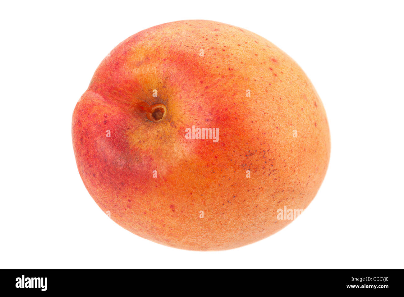 Apricot fruit closeup isolated on white background Stock Photo - Alamy