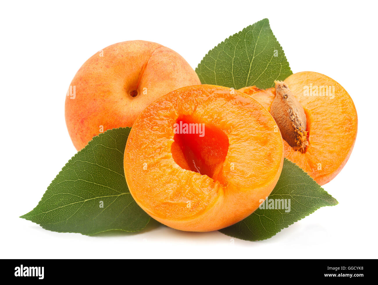 Apricot fruit closeup isolated on white background Stock Photo - Alamy