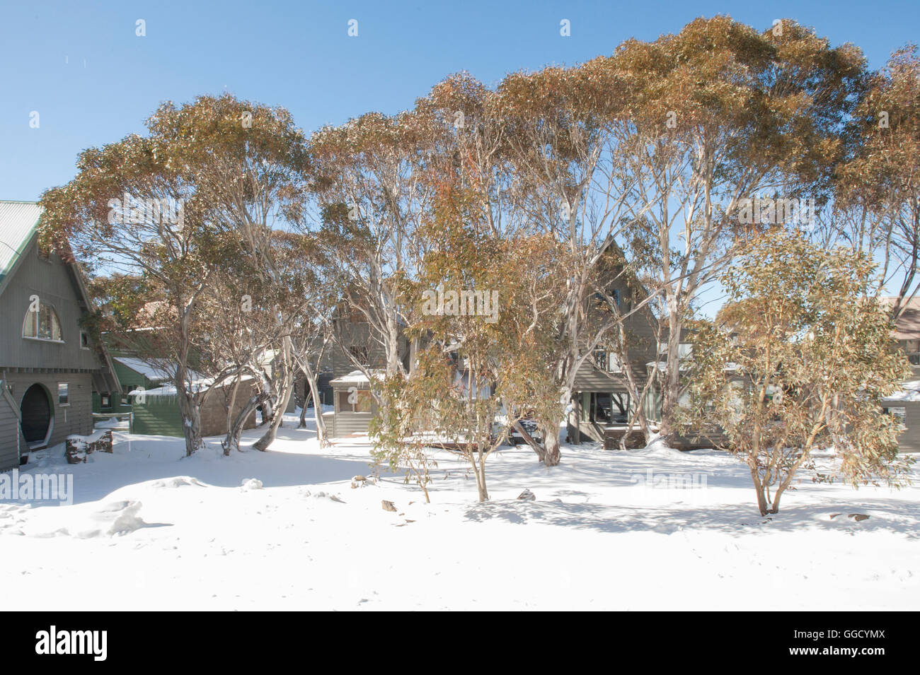 Dinner Plain. Town on the Great Alpine Road Stock Photo - Alamy