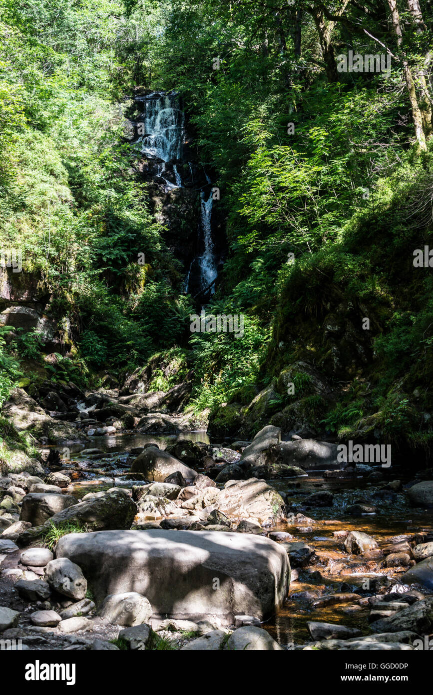 Waterfall, Queen Elizabeth Forest Park, Scotland Stock Photo - Alamy