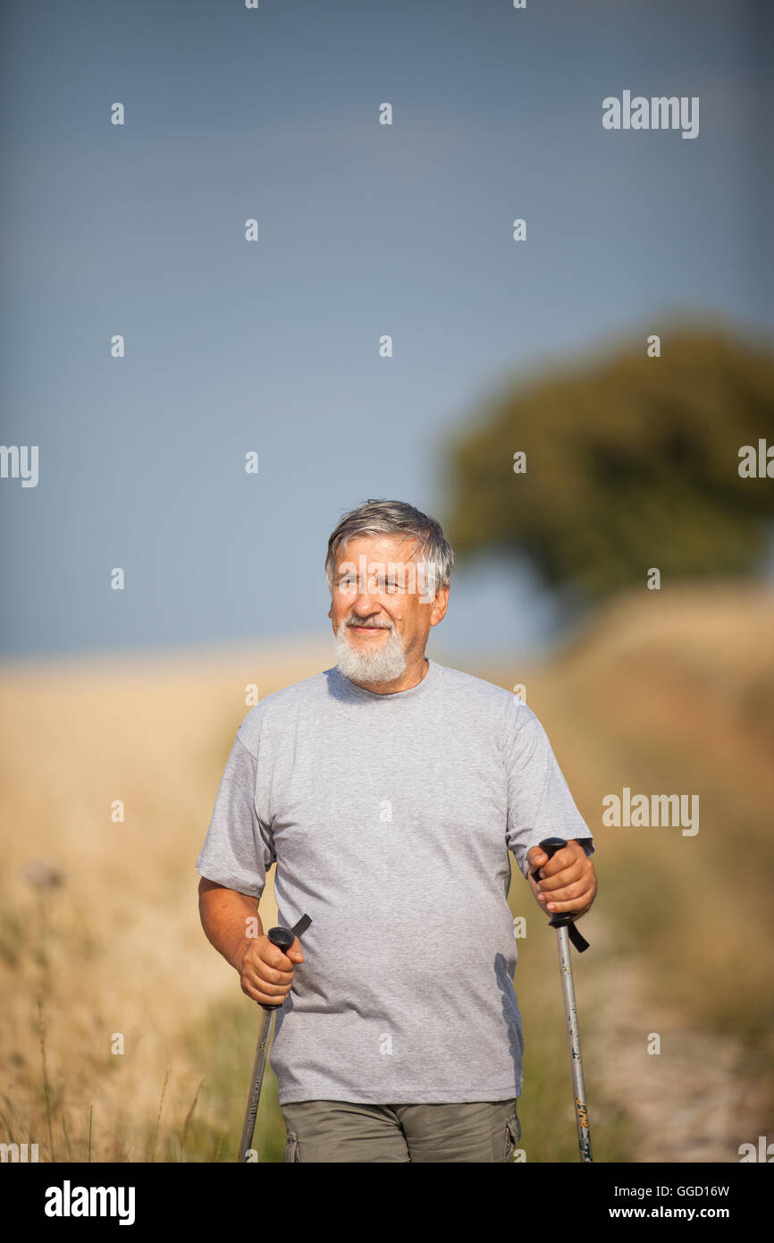 Active handsome senior man nordic walking outdoors on a forest path ...