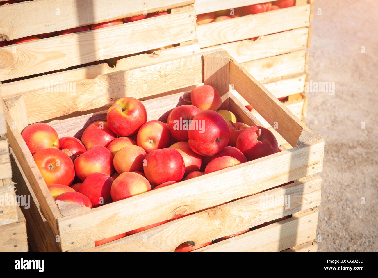 Several wooden boxes with ripe red apples Stock Photo - Alamy