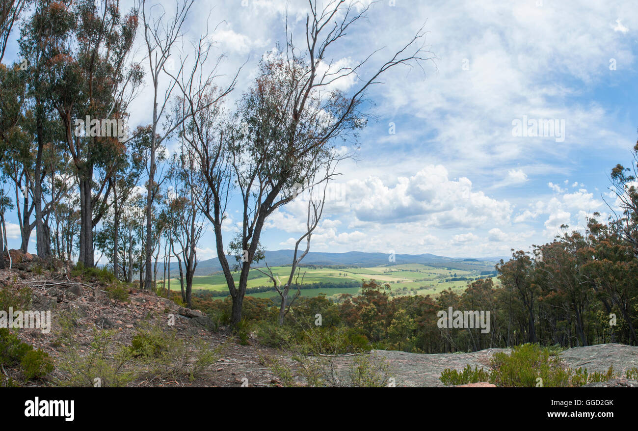 Tullock Ard Road, Victoria, Australia Stock Photo - Alamy
