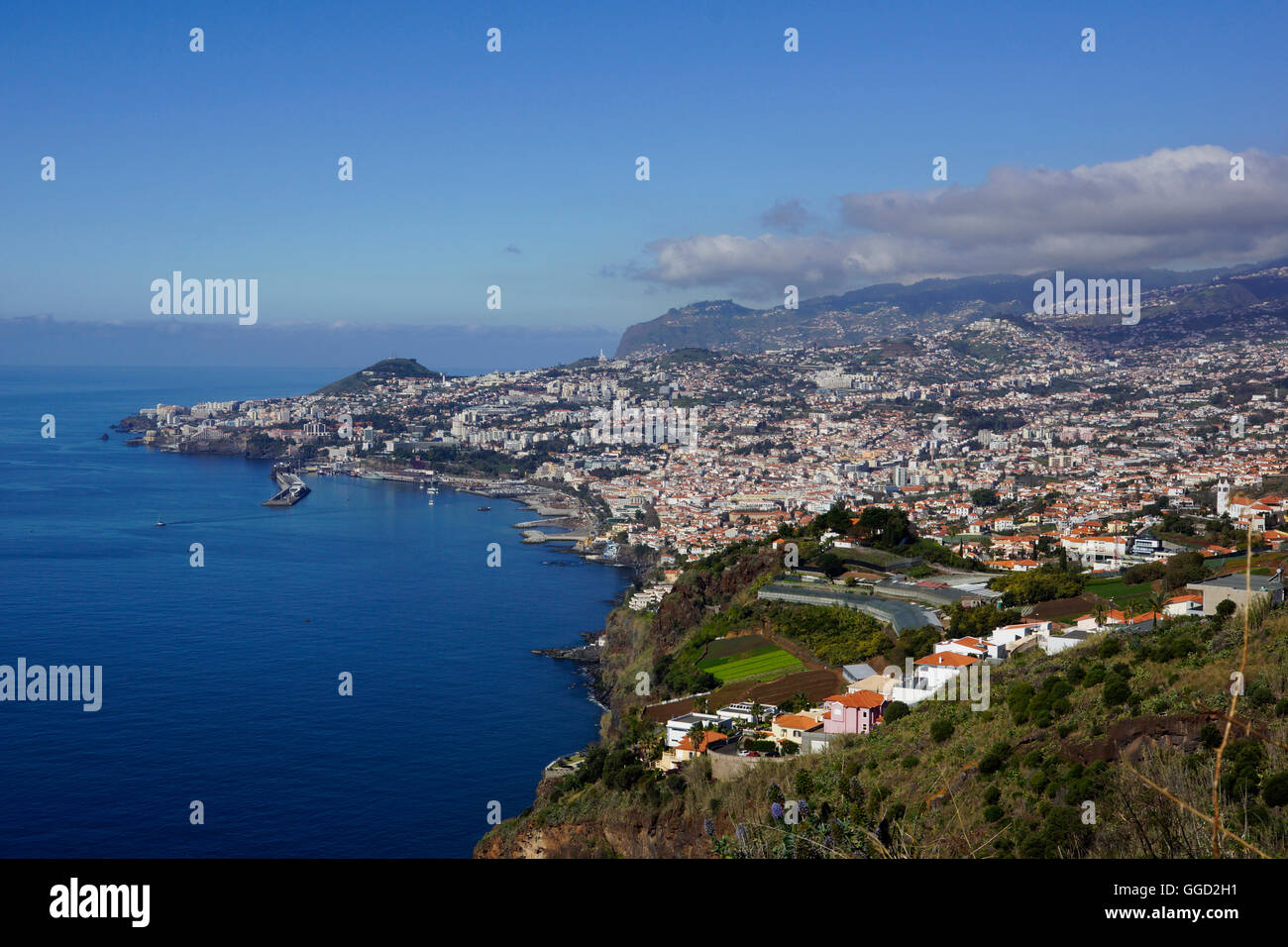 Garajau hi-res stock photography and images - Alamy