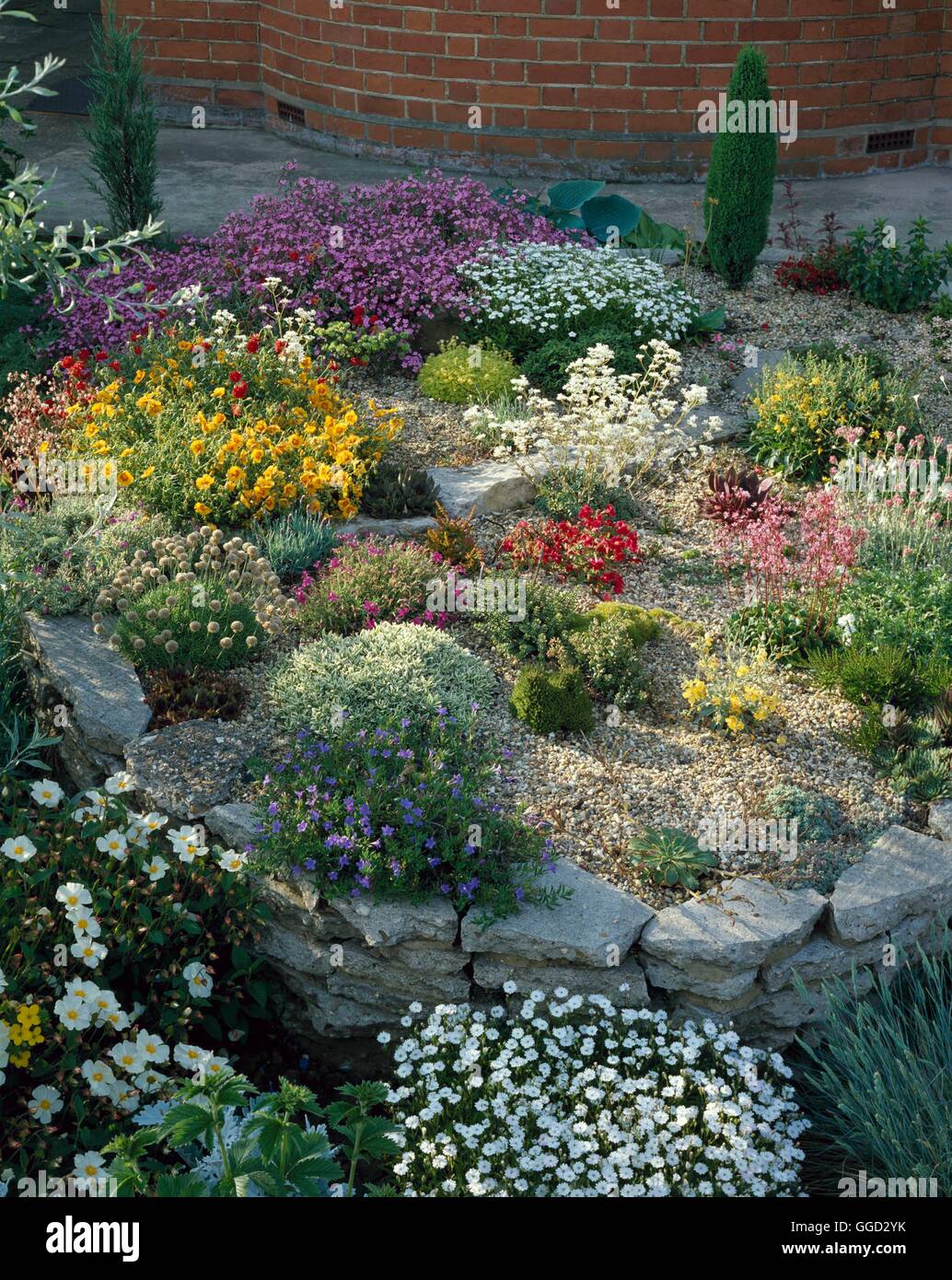 Alpine Garden - on Raised Bed ALG033276 Stock Photo - Alamy