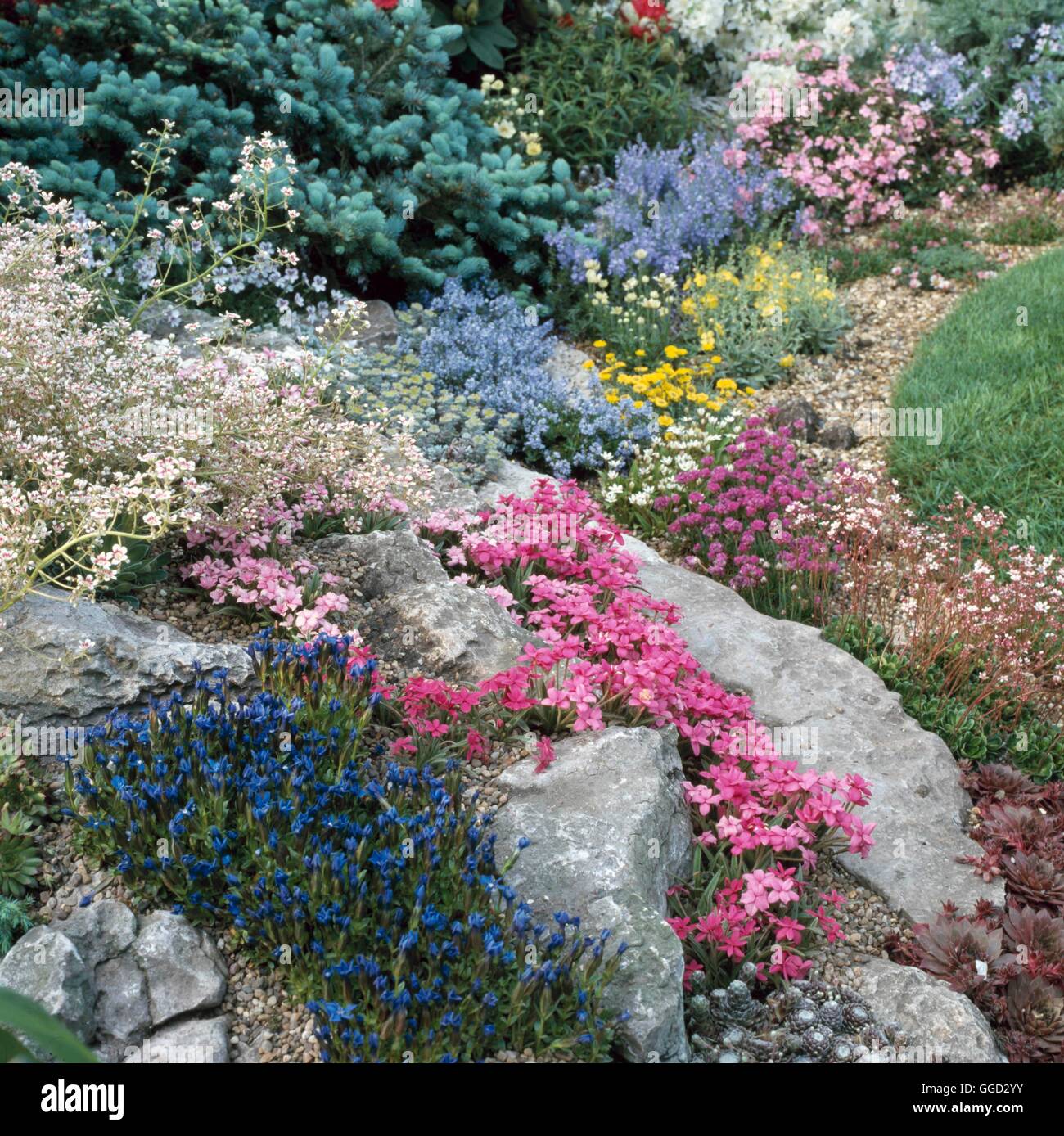 Alpinegarden hi-res stock photography and images - Alamy