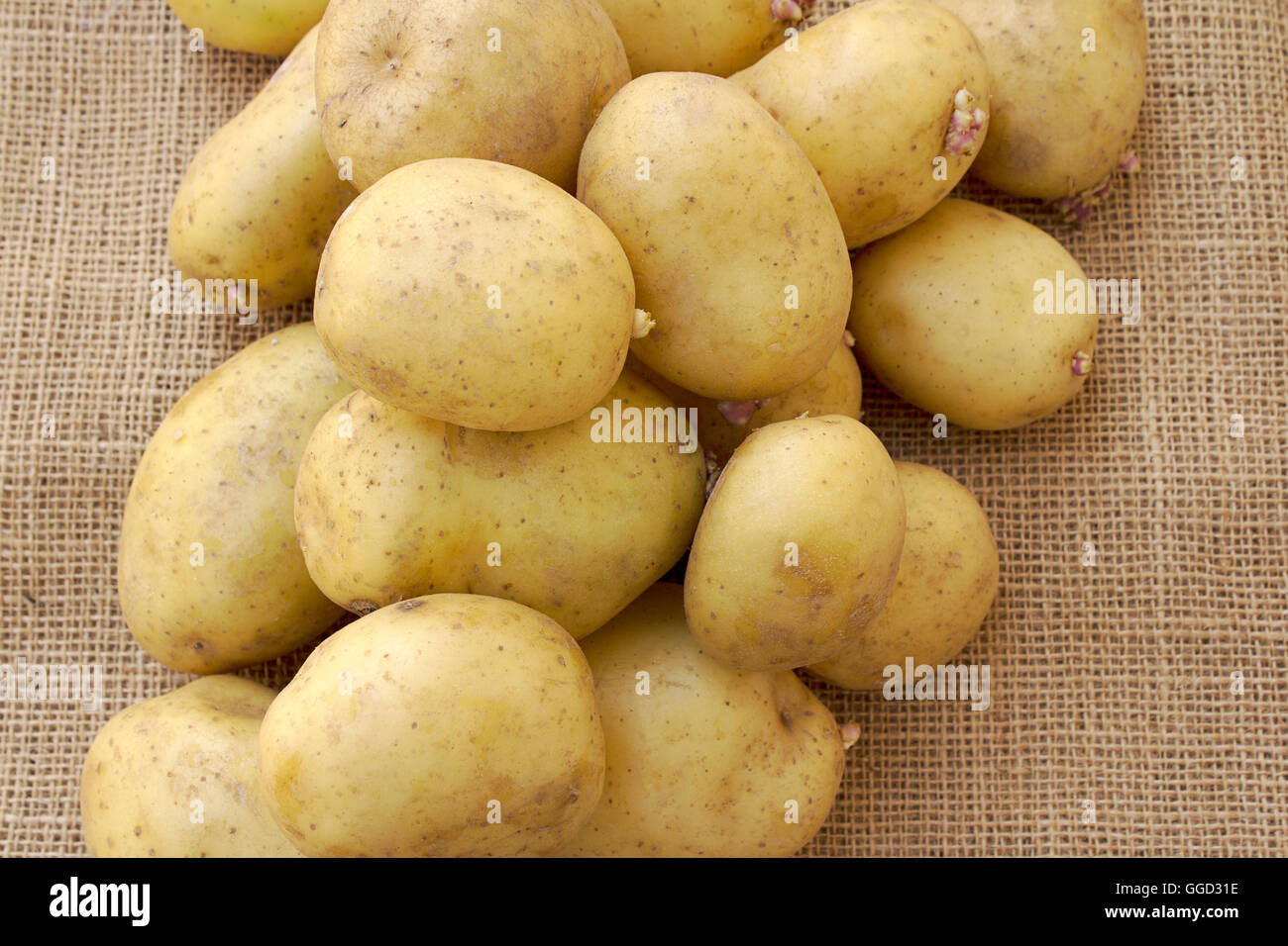 Collection of fresh organic and biological potatoes on rustic ...