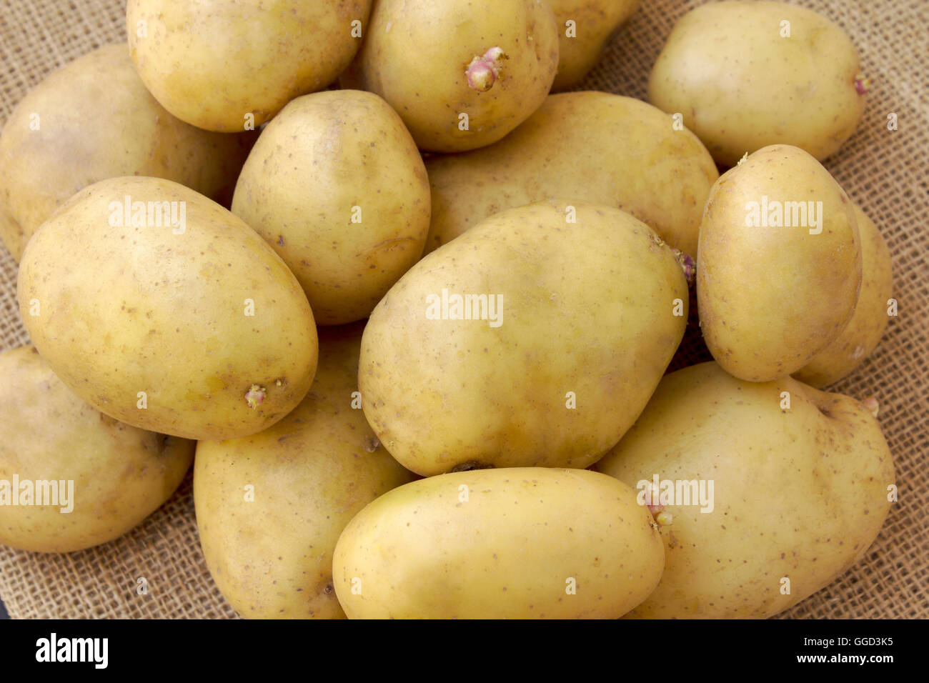 Collection of fresh organic and biological potatoes on rustic ...