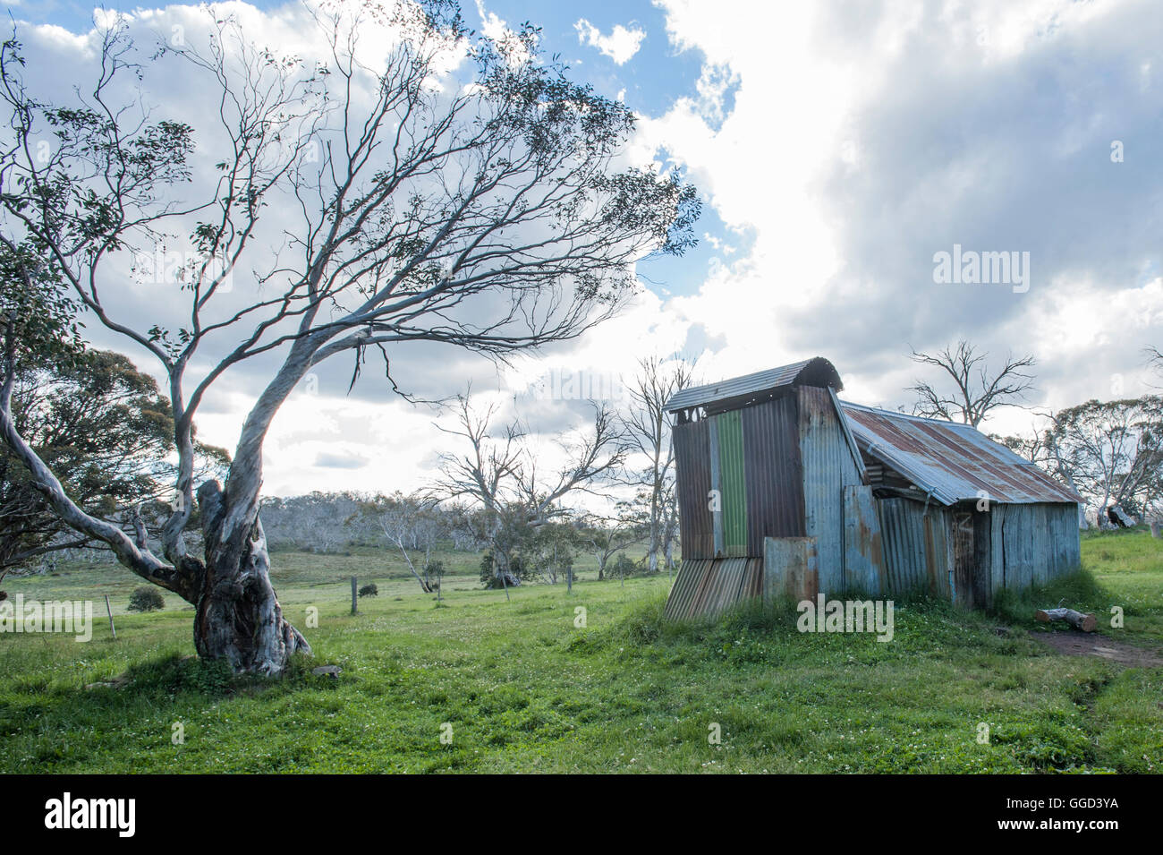 Howitt Plains Hut, Alpine National Park, Victoria High Country Stock ...