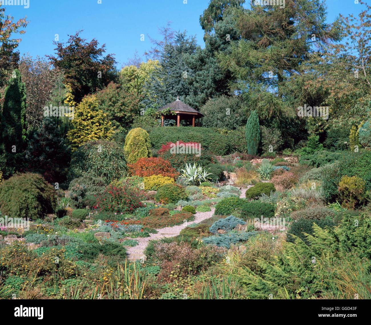 Autumn Garden - (Please Credit: Photos Hort/The Dorothy Clive Memorial ...