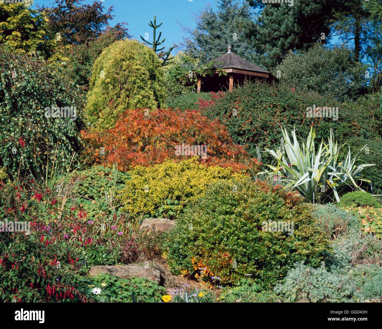 Autumn Garden - (Please Credit: Photos Hort/ Dorothy Clive Memorial Gdn ...