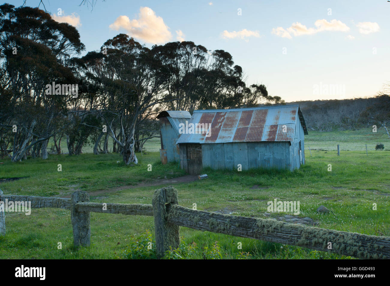 Howitt Plains Hut, Alpine National Park, Victoria High Country Stock ...