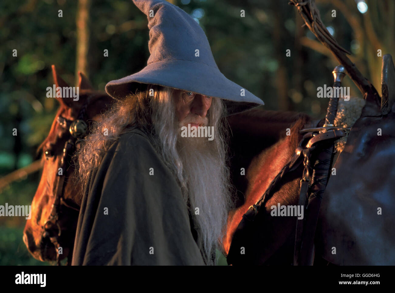 DER HERR DER RINGE - DIE GEFÄHRTEN / Lord Of Rings-The Fellowship Of ...