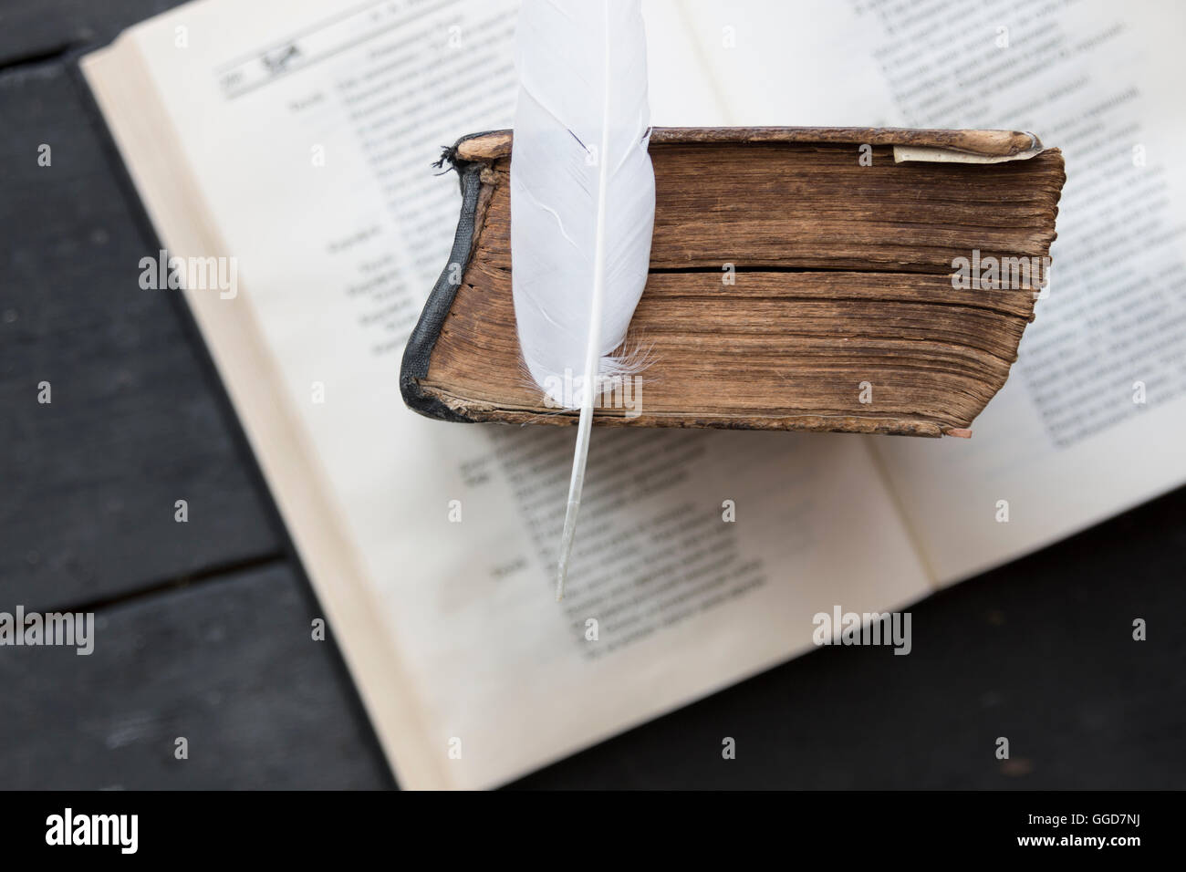 school, college or university idea, vintage book and feather Stock ...