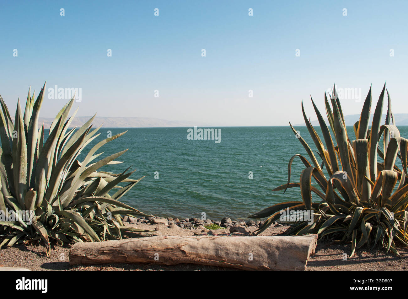 Israel: vegetation and Lake Tiberias, the lowest freshwater lake on ...