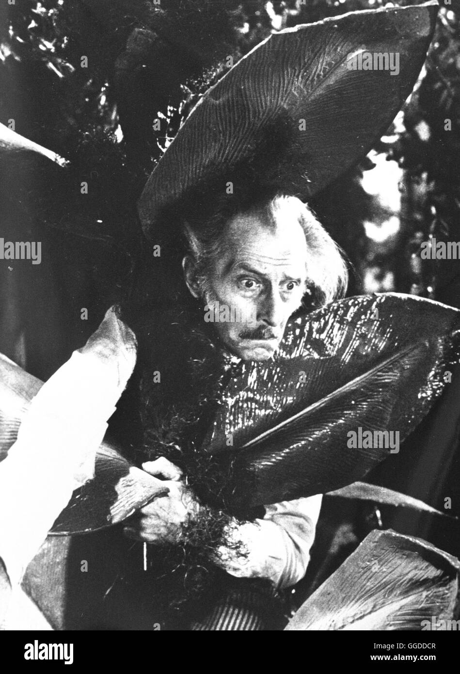 Der sechste mann hi-res stock photography and images - Alamy