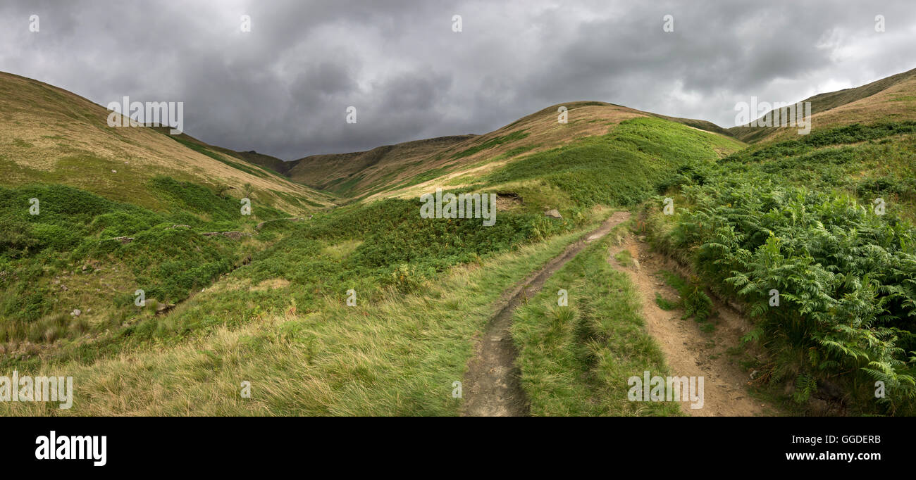 Well worn footpath hi-res stock photography and images - Alamy