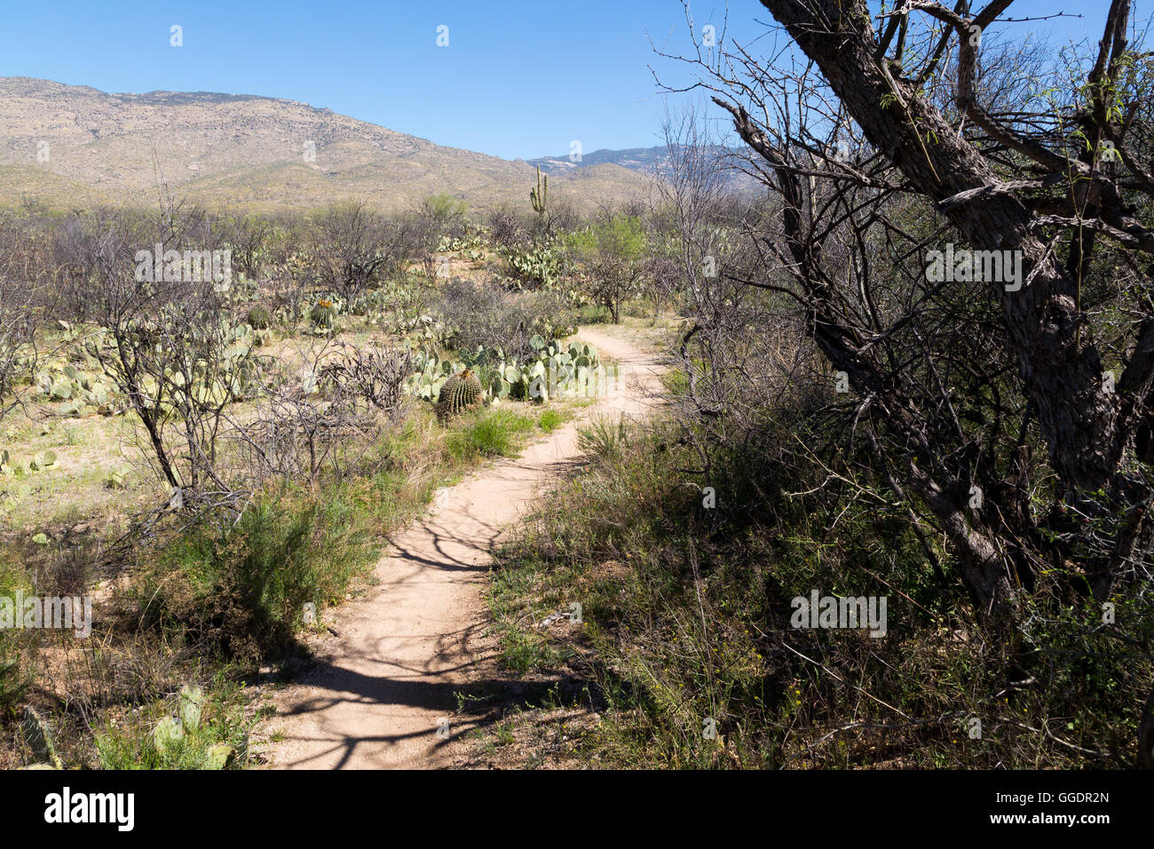 Rincon valley hi-res stock photography and images - Alamy