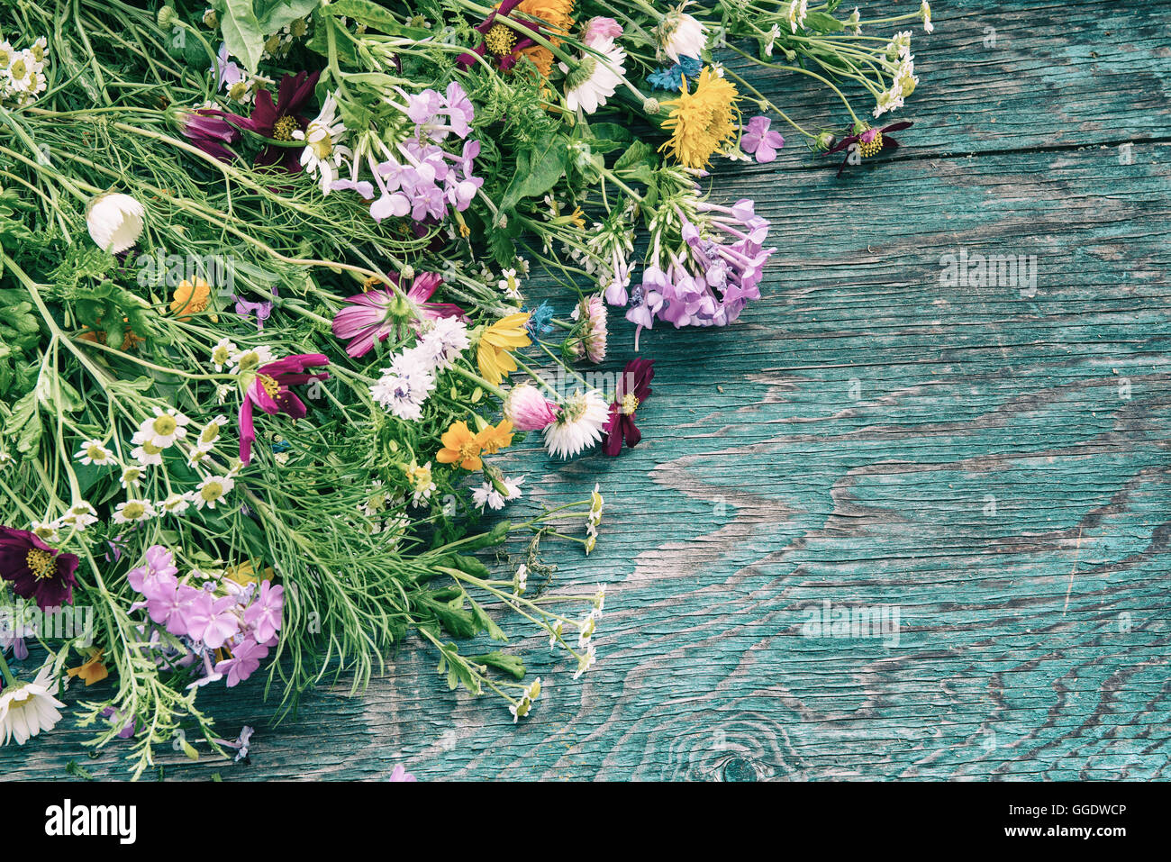 Summer flowers mock up Stock Photo - Alamy