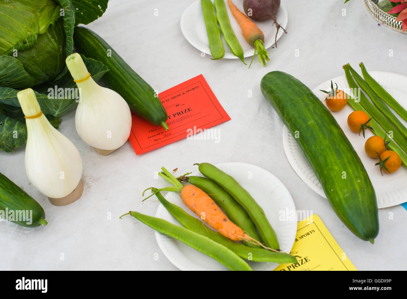 Prize winning vegetables hi-res stock photography and images - Alamy