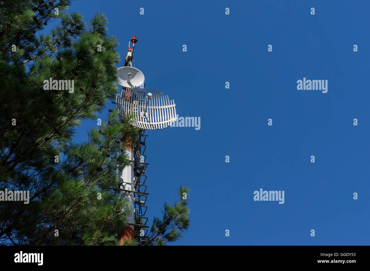 Telecommunication tower in the forest Stock Photo - Alamy