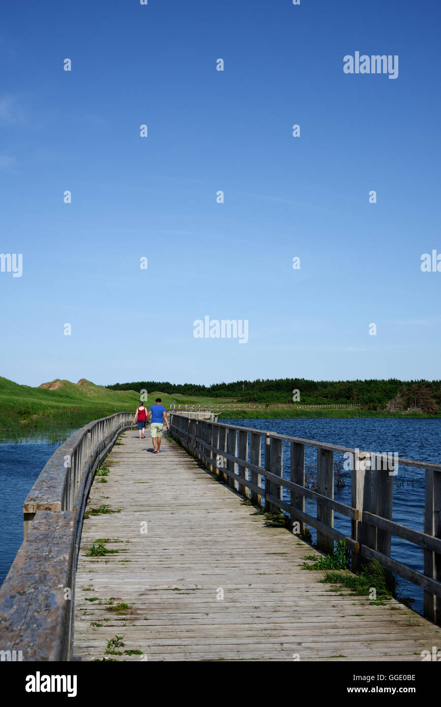 A floating pavement in Dunelands Trail near Cavendish in Prince Edward ...