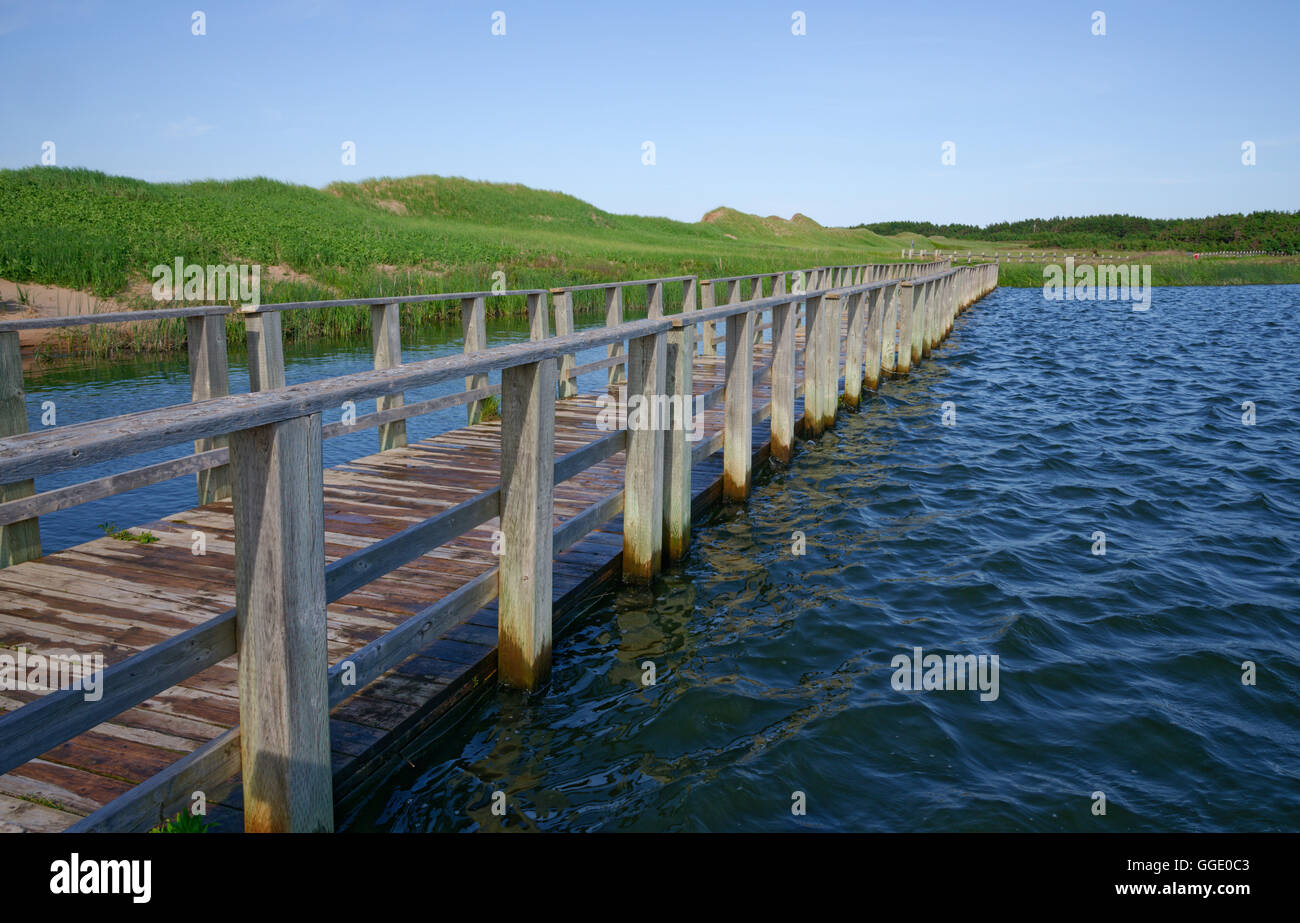 A floating pavement in Dunelands Trail near Cavendish in Prince Edward ...